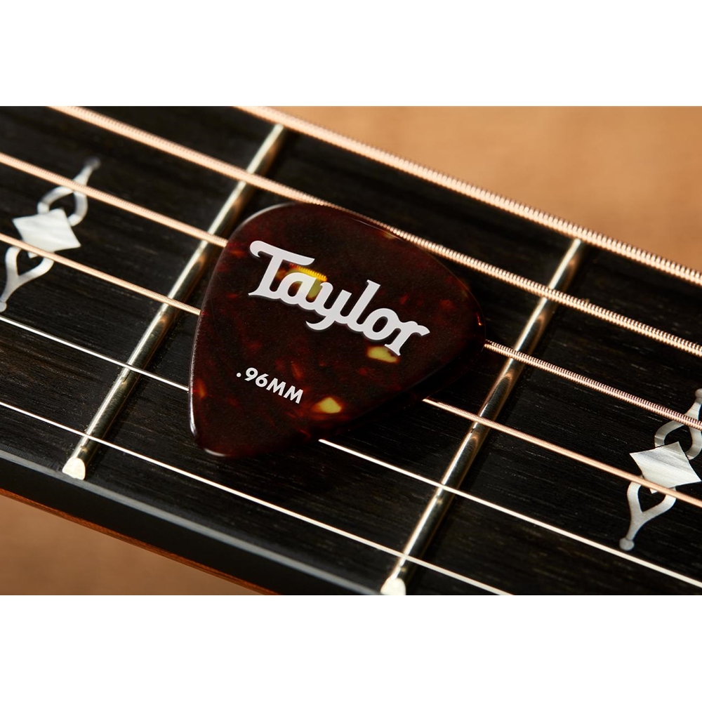 Uncle Ike's Music & Sound - 2608 Taylor Pick Tin, 12) Celluloid Variety ...